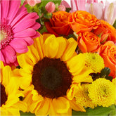 Parma Florist | Same Day Flower Delivery by Flowers On The Vine - Parma